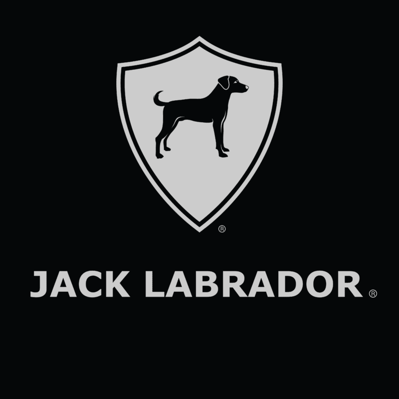 The Evolution of Card Games: Jack Labrador's Place in Gaming History - Jacklabrador